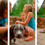 Los increíbles GIFs tridimensionales | MISTERGIF